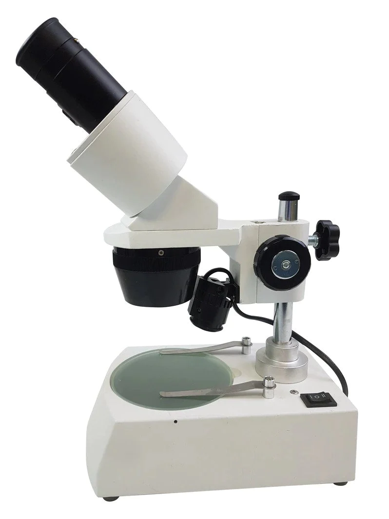 Microscope, Stereo Binocular 10-40x, LED - Quantum Engineering, Lda
